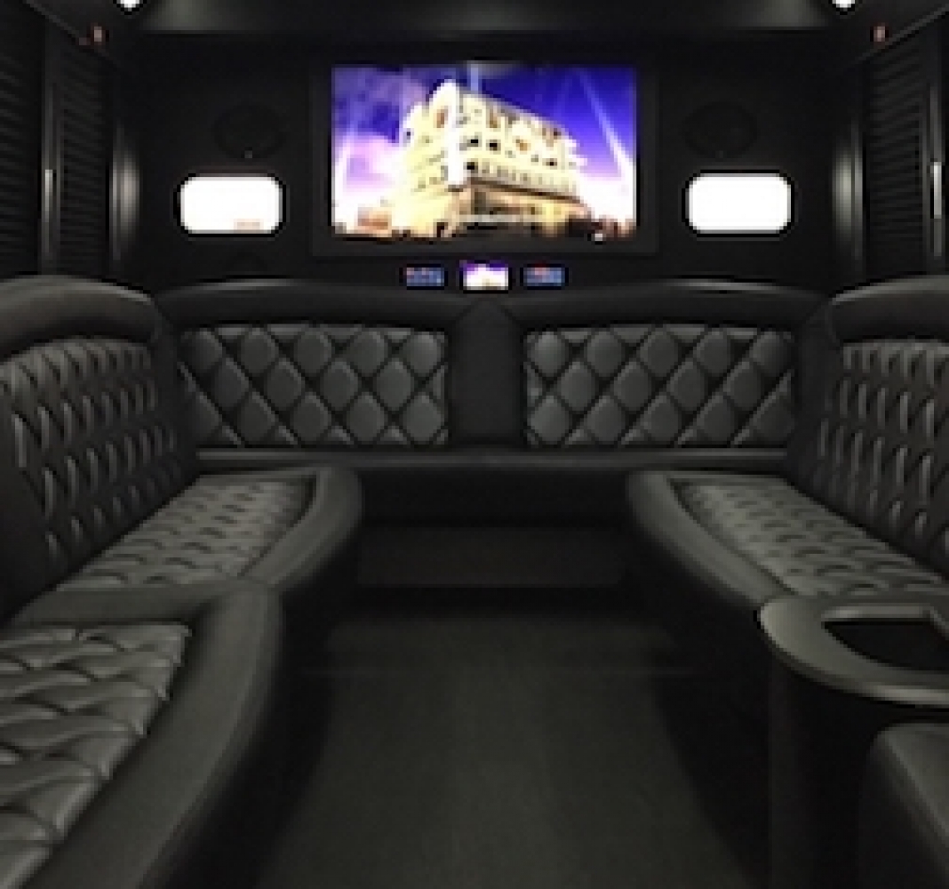 10 & 20 Passenger Party Bus Rentals - Rent a Small Party Bus