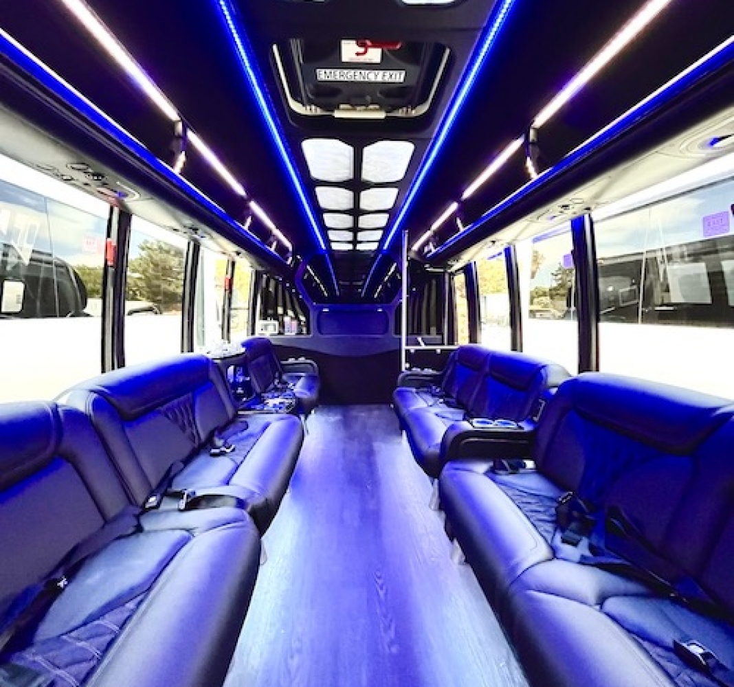10 & 20 Passenger Party Bus Rentals - Rent a Small Party Bus
