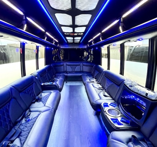 10 & 20 Passenger Party Bus Rentals - Rent a Small Party Bus